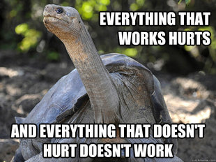 Old Age Problem Turtle memes | quickmeme