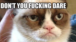 Cat Beards | Know Your Meme