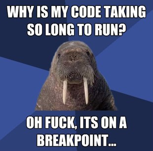 Web Developer Walrus memes | quickmeme